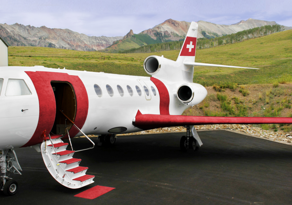 Landolt Reusable Padded Temporary Protection - SurfaceLiner